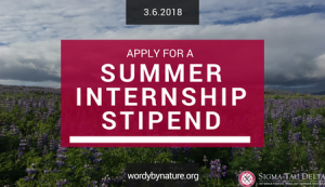 Gain Valuable Work Experience with a Summer Internship Stipend – WORDY ...